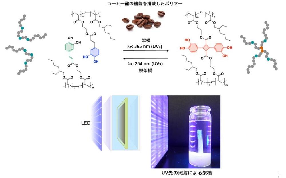 水に強い構造用接着剤の開発を目指す ～ムラサキイガイがやっかい者からお手本へ～（NIMS 内藤昌信）｜CEMEDINE Style｜セメダイン株式会社