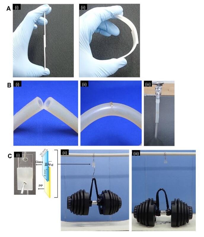 水に強い構造用接着剤の開発を目指す ～ムラサキイガイがやっかい者からお手本へ～（NIMS 内藤昌信）｜CEMEDINE Style｜セメダイン株式会社